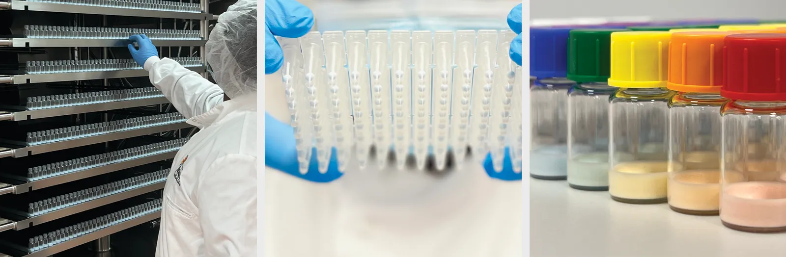 Solutions for Lyophilization | NEB