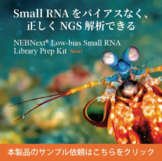 NEBNext® Low-bias Small RNA Library Prep Kit | NEB