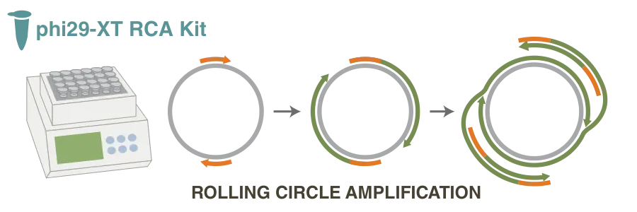 Design Assemble and Express with Confidence | NEB