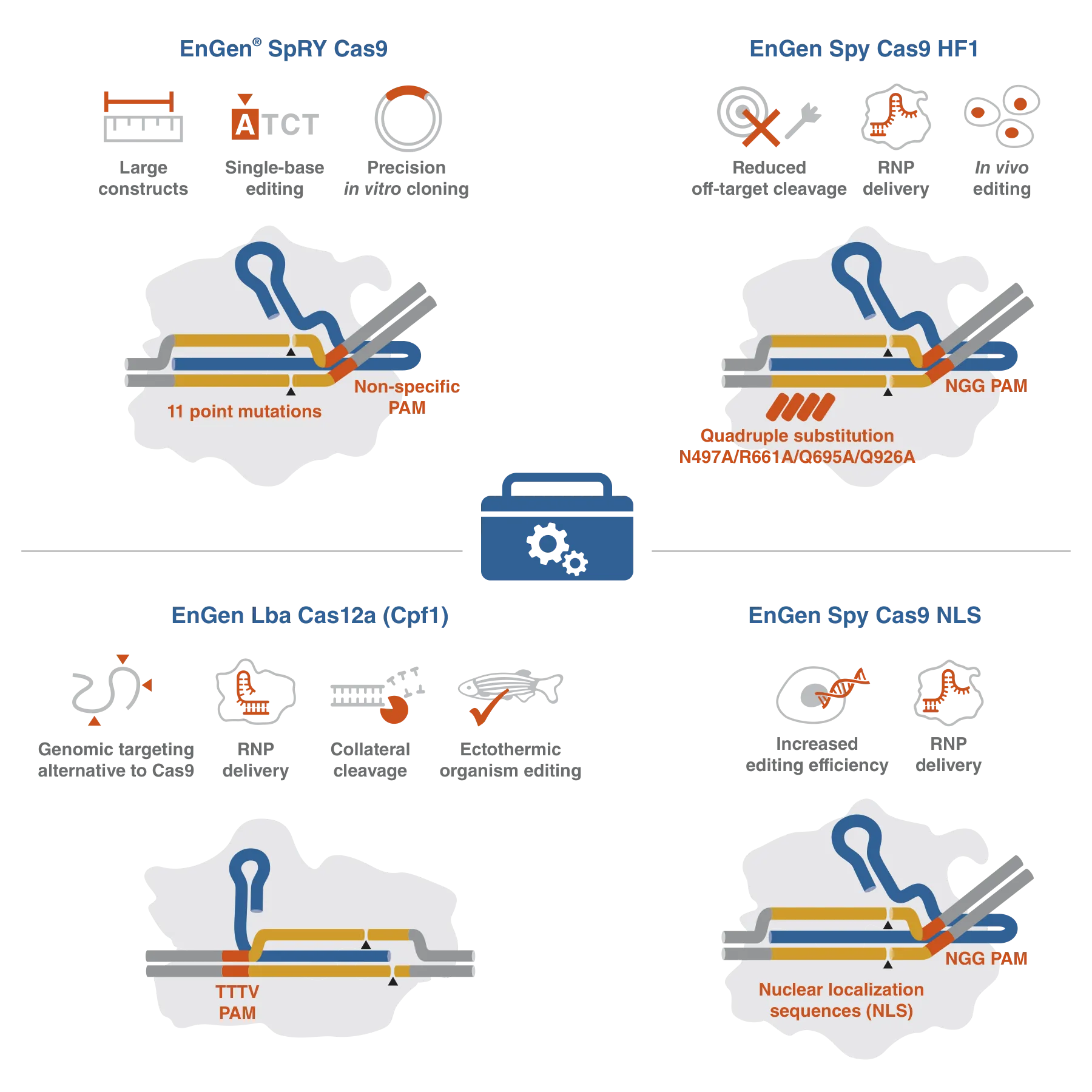 CRISPR/Cas Nucleases | NEB