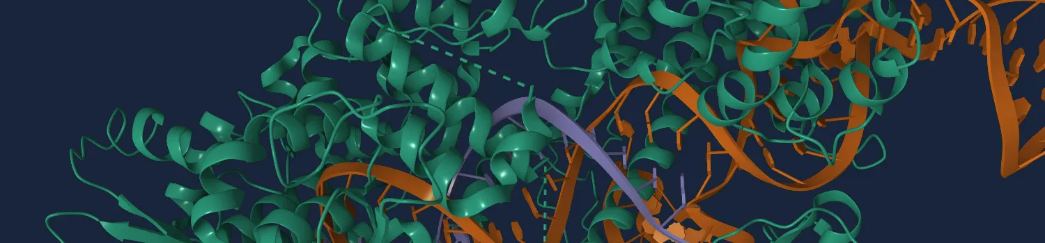 CRISPR/Cas Nucleases | NEB