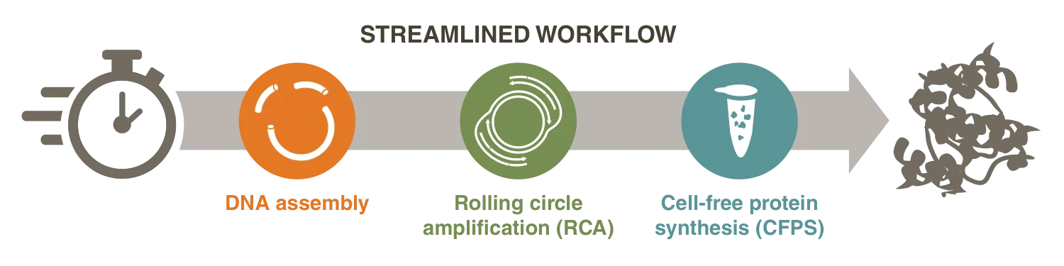 Design Assemble and Express with Confidence | NEB