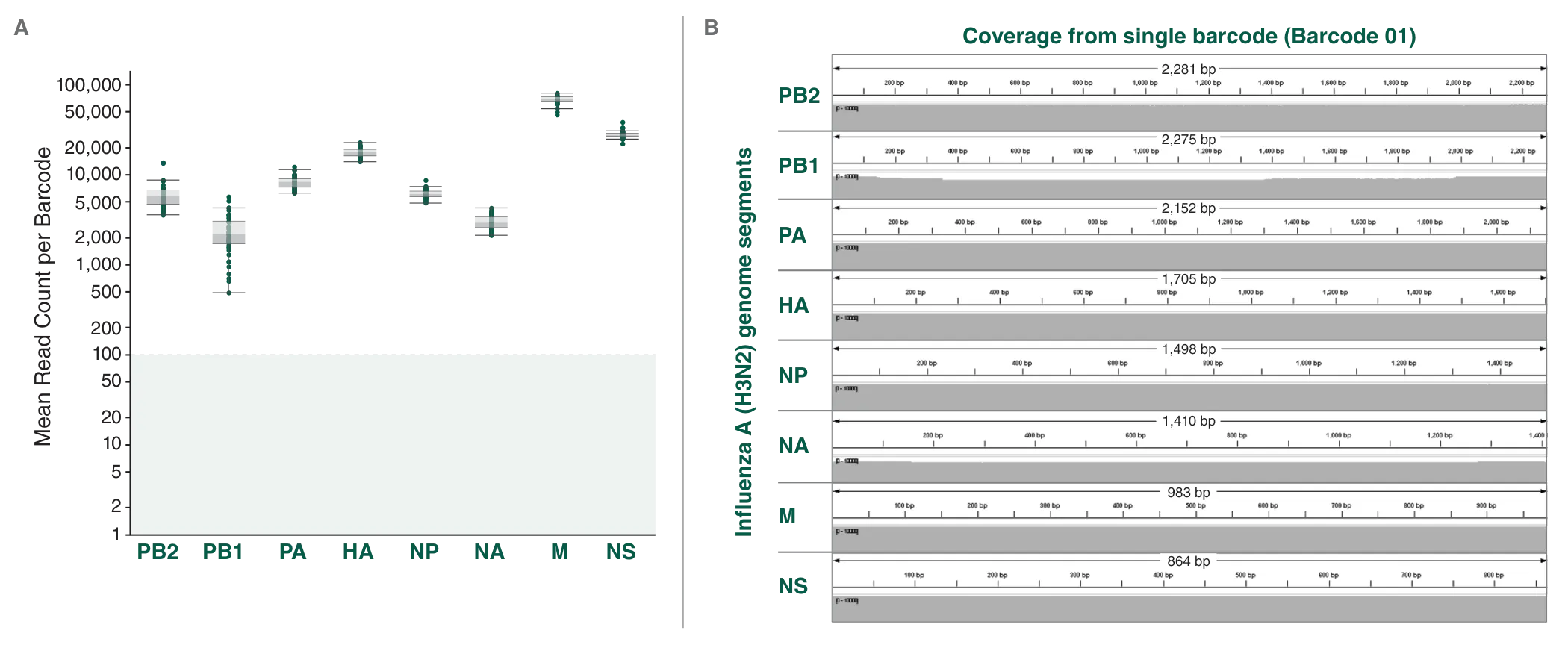 NEBNext Flu A Integrated Indexing Primer Module | NEB