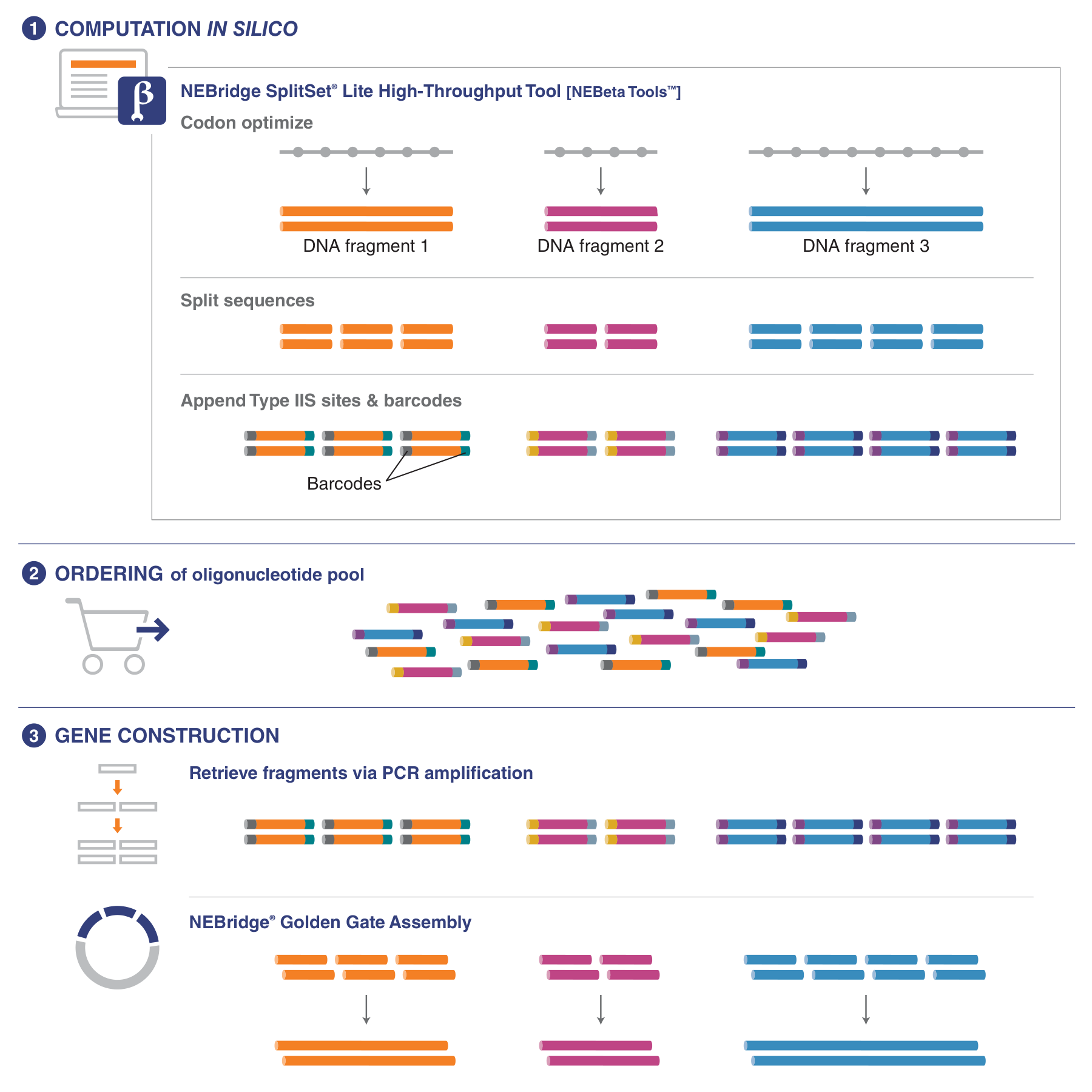 Building Genes Faster and Cheaper with Decentralized Workflows | NEB