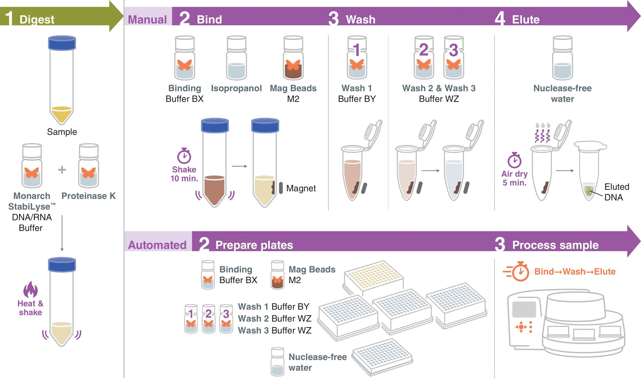 Monarch® Mag Cell-free DNA (cfDNA) Extraction Kit | NEB