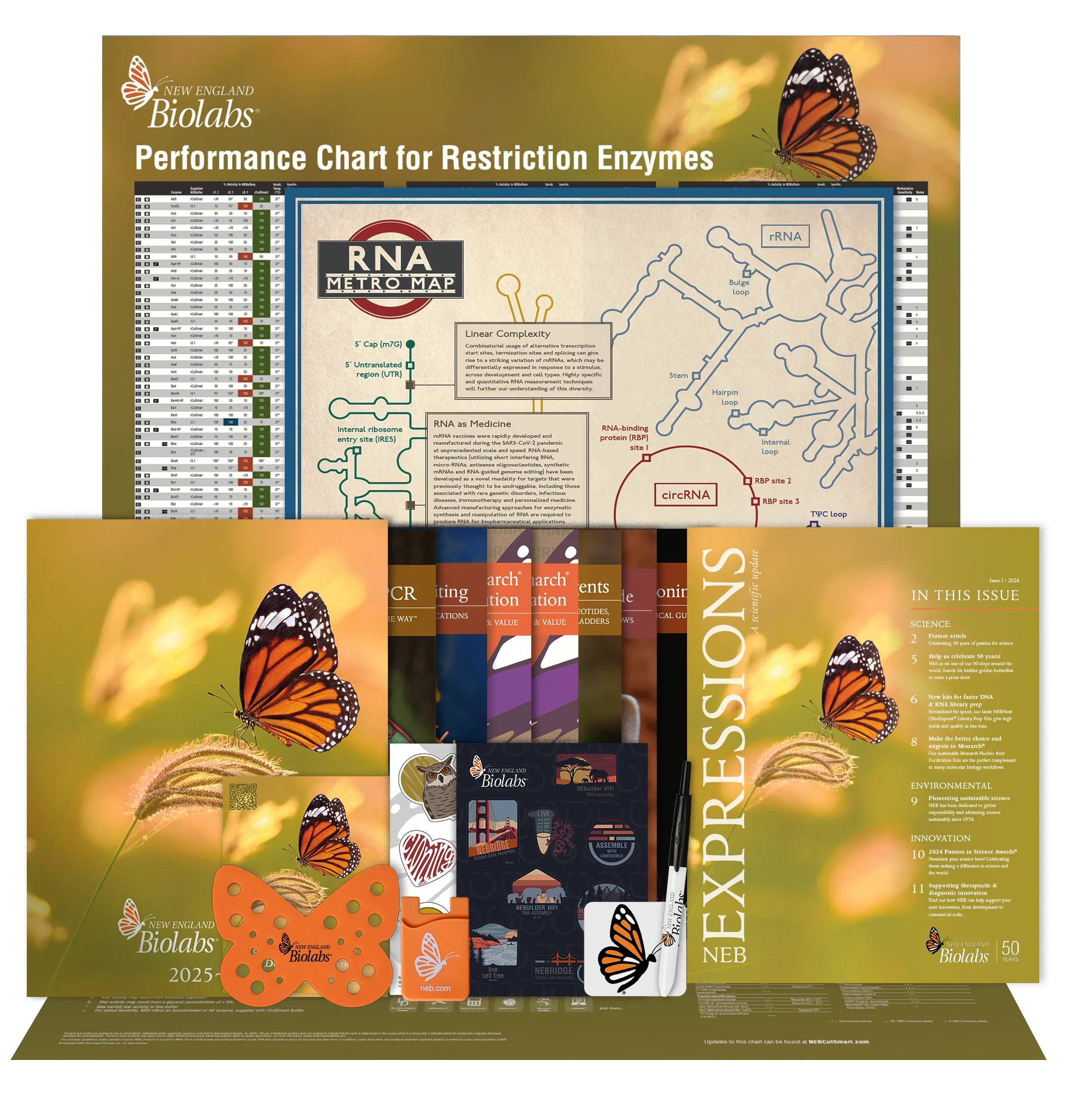 New Student Starter Pack | NEB