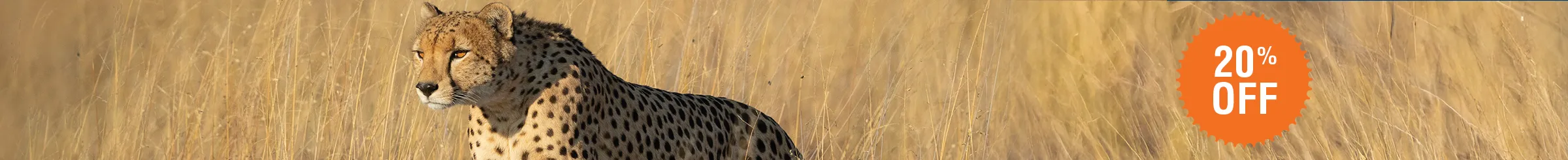 NEBNext UltraExpress DNA, FS DNA and RNA Library Prep Kits | NEB