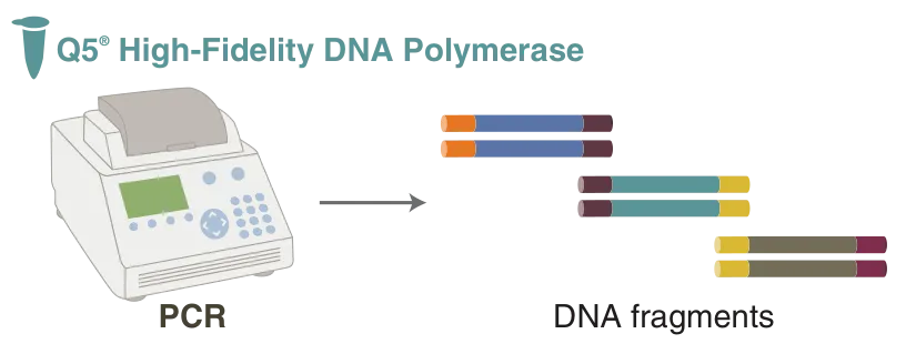 Design Assemble and Express with Confidence | NEB
