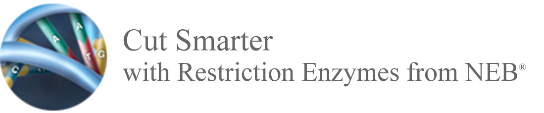 Restriction Endonucleases | NEB