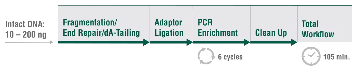 NEBNext UltraExpress DNA, FS DNA and RNA Library Prep Kits | NEB