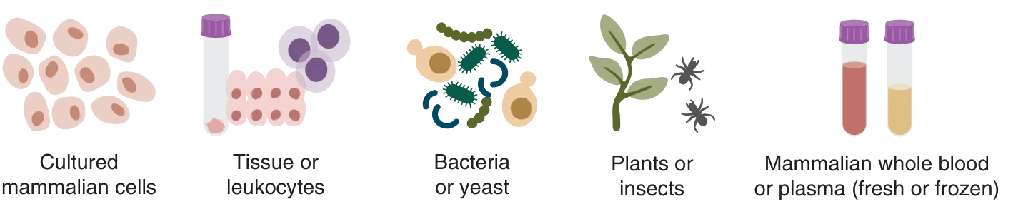 Total RNA Extraction & Purification | NEB