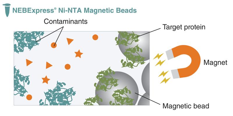 Design Assemble and Express with Confidence | NEB