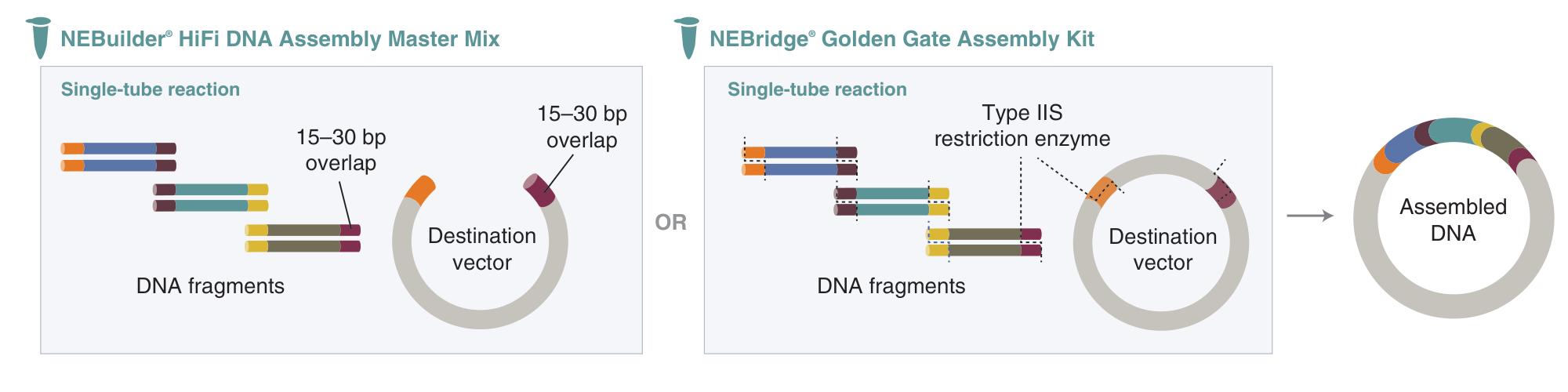 Design Assemble and Express with Confidence | NEB